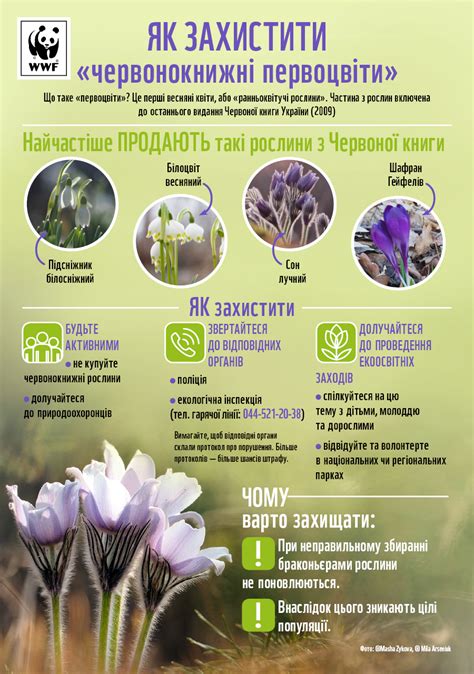 Як зберегти ранньоквітучі рослини Wwf