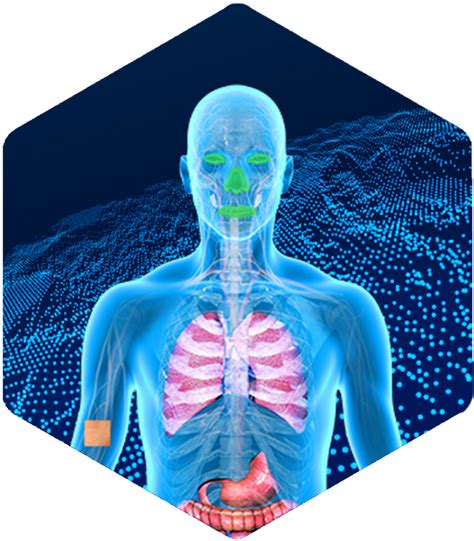 Protocol Optimization Simulations Plus