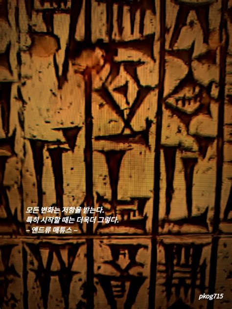 나노기술nt