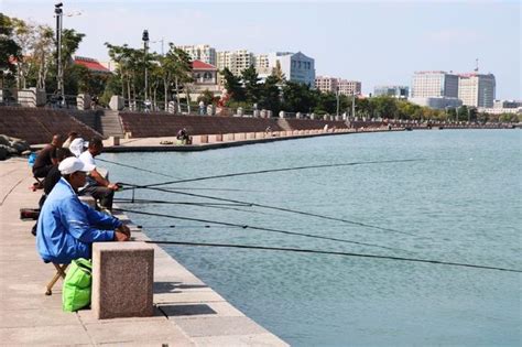 走遍四海还是威海浅谈威海渔具产业 搜狐汽车 搜狐网