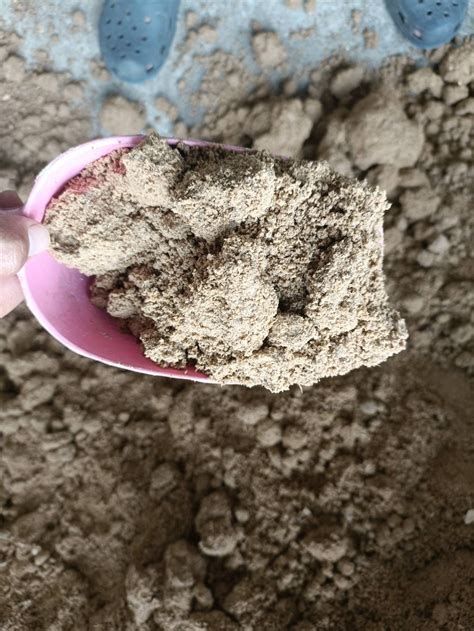 โคกระบือบึงกาฬ หนองคาย สกล นครพนม อุดร 💚ข้าวโพดหมักยีสต์ 📶โปรตีน 14