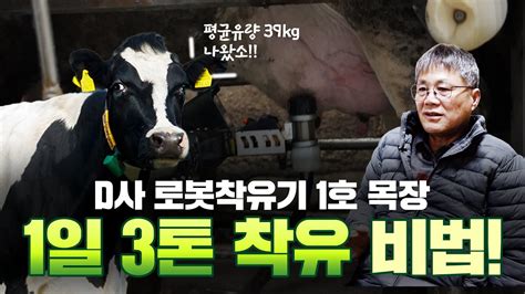 D사 로봇착유기 1호 목장의 1일 3톤 착유 비법 대공개😮 Youtube