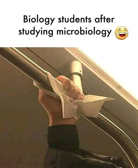 Hanaa Fayed Posted On Linkedin