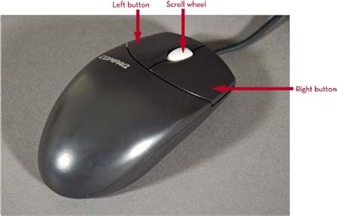 Mouse Easy Computer Basics Windows 7 Edition
