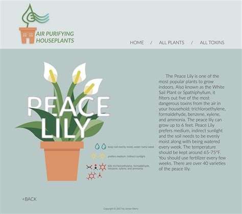 Infographic Made Into Website Parallax Scrolling On Behance