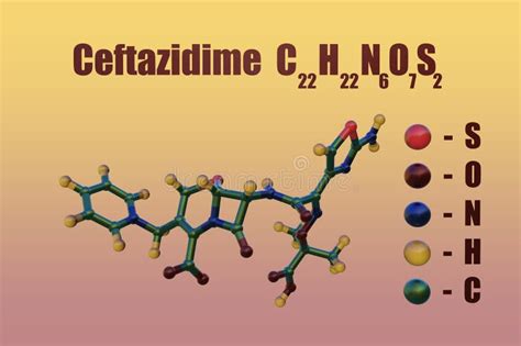 Antibiotic Ceftazidime Stock Illustrations 30 Antibiotic Ceftazidime