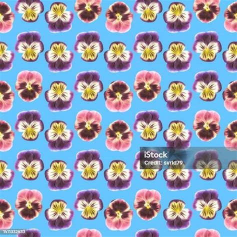 바이올렛 비올라 일러스트레이션 꽃의 질감 연속 복제를 위한 원활한 패턴 꽃 배경 직물 사진 콜라주 면직물 벽지 덮개 인쇄를 위해 0명에 대한 스톡 사진 및 기타 이미지