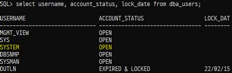 Oracle System 계정 Lock