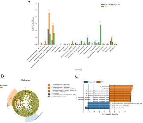 Analysis Of Differences Between Groups A Histogram Of Anova Between