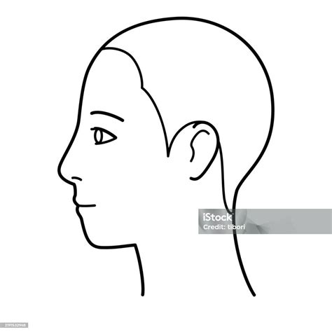 Human Head Model Shaved Head Outline Side View Facing Left Vector File