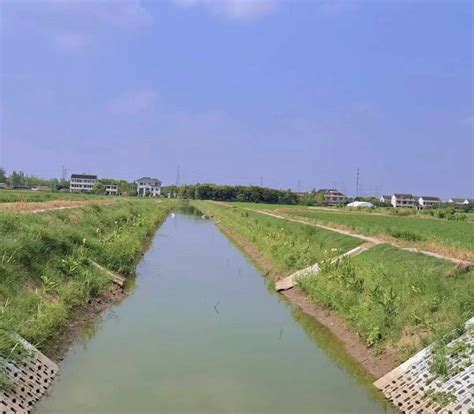 肥水”不外流——南通海门农田排灌系统 生态化改造试点项目”投入运行江苏省水质