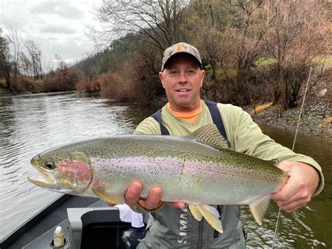 Trinity River Fish Report Trinity River Trinity Steelhead On The