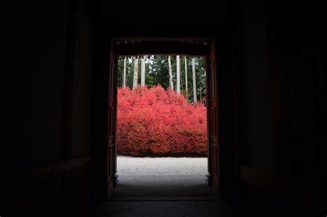 【2022年福岡県最新】「呑山観音寺」の紅葉絶景＆見どころ