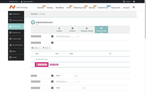 DNS 設定教學如何連結 Namecheap 域名與 Cloudways 主機
