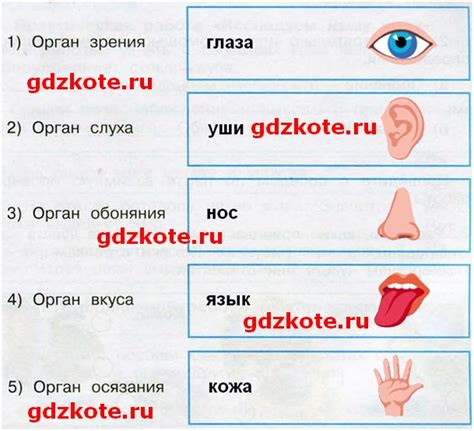 ГДЗ 3 класс Окружающий мир Плешаков Рабочая тетрадь Часть 1 Страницы 73 74