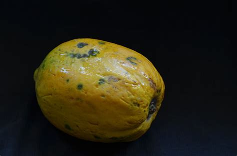 파파야는 식물 카리카 파파야 가족 카리카세아의 속 카리카입니다 열대 과일 과일은 큰 베리입니다 오렌지 색 달콤하고 육즙이 풍부하며 영양이 풍부하고 맛있습니다 인도 잘 익은