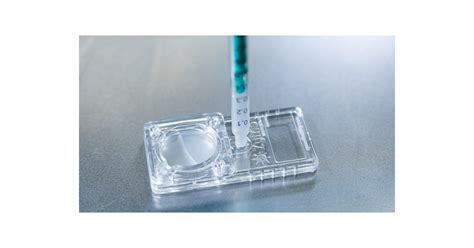 Closer Look Zymōt Microfluidic Sperm Sorting Biocouriers