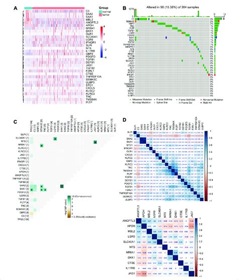 Signature Of Deirgs In Tcga Lihc A Expression Heatmap Of Deirgs Download Scientific Diagram