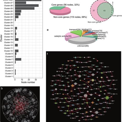Negative Correlation Connections In The Genetic Correlation Network A Download Scientific