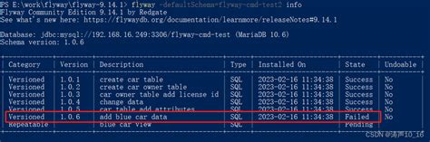 数据库版本管理工具flyway应用研究ignoremigrationpatterns Csdn博客