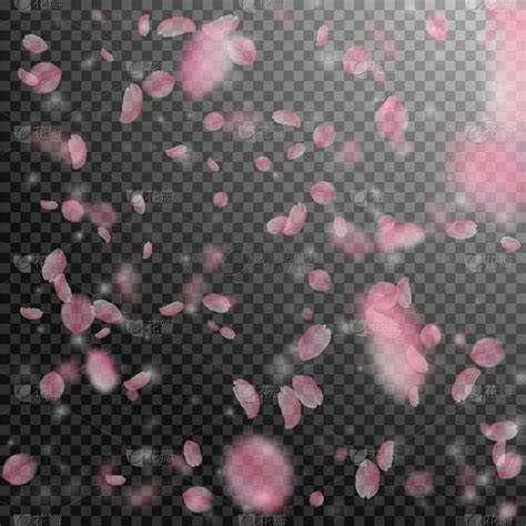 浪漫粉色花瓣樱之花仅一朵花请柬风棉落下爱素材 花瓣网