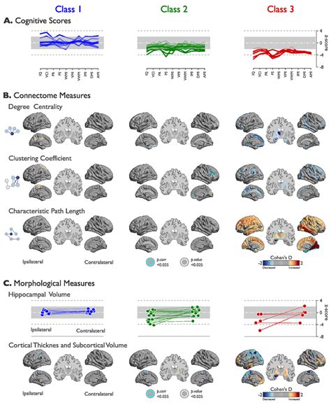 Differences By Cognitive Class Full Text In Section 8 3 Download Scientific Diagram
