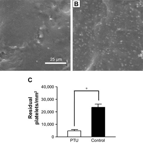 Platelet Adhesion Test In Vitro Notes Fabricated Nanofibers With A Download Scientific