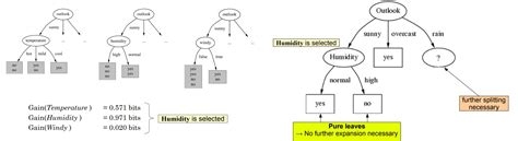 Chapter 4 Decision Trees Algorithms By Madhu Sanjeevi Mady
