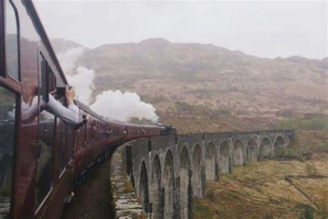 توییت دراکو مالفوی تستچی