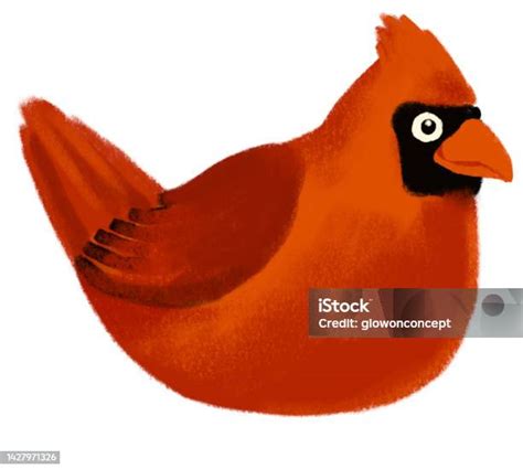 화난 새 진짜 빨간 추기경 송 버드 만화 분필 그리기 일러스트 레이 션 빨강에 대한 스톡 벡터 아트 및 기타 이미지 빨강 과체중 귀여운 Istock