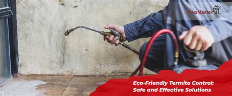 Eco Friendly Termite Control Safe And Effective Solutions