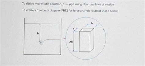 Solved To Derive Hydrostatic Equation P ρgh Using Newtons