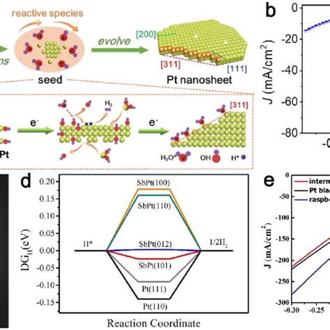 A Aem For Oer B Lom 1 For Oer With One Oxygen Atom Originated From The Download Scientific