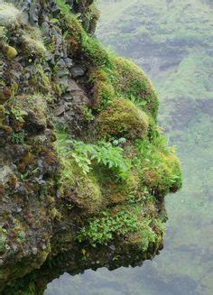 Pareidolia A Second Look At Seeing Faces In Nature