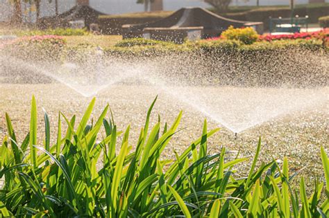 여름 폭염 동안 공원의 푸른 잔디에 물을 주는 자동 스프링클러 가뭄에 대한 스톡 사진 및 기타 이미지 가뭄 계절 관개 장비 Istock