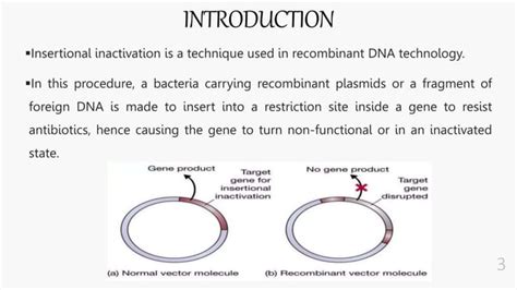 Insertional Inactivation And Complementation Of Defined Mutation 1pptx