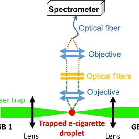 Sketch Of The Experimental Setup It Consists Of An Optical Trap
