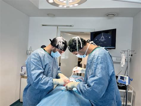 Общинс Общински приют за безстопанствени животни Добрич