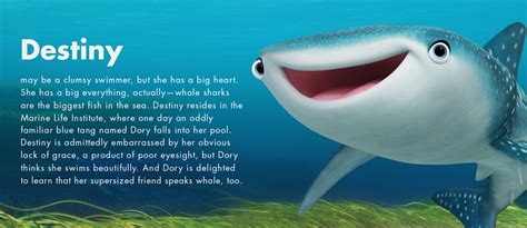 Image Finding Dory Character Profiles 03 Disney Wiki Fandom Powered By Wikia