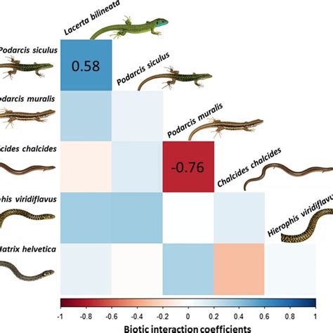 Plot Representing Biotic Interaction Coefficients For All Species Download Scientific Diagram