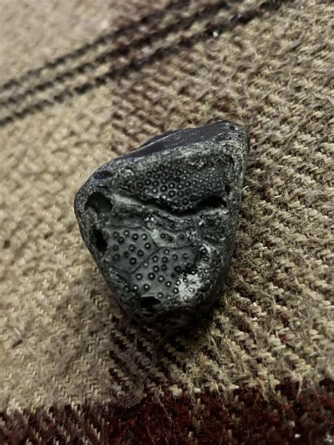 Possible Fossil Uk R Fossilid
