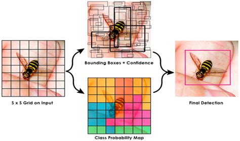 Agriculture Free Full Text Yolo Based Light Weight Deep Learning