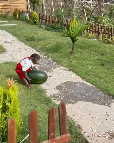 Misbahuddin Muhammad On Linkedin Smart Work ️