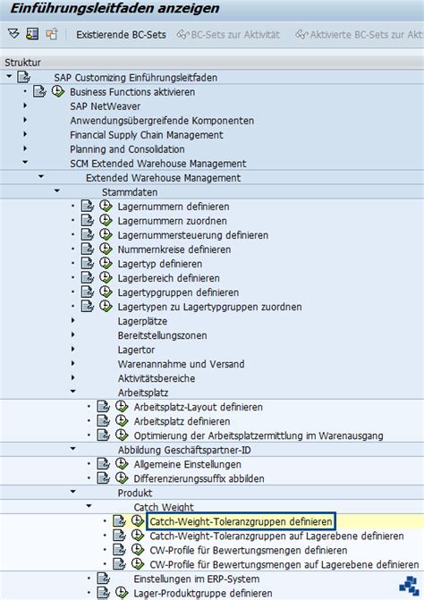 SAP EWM Catch Weight Toleranzgruppen Definieren
