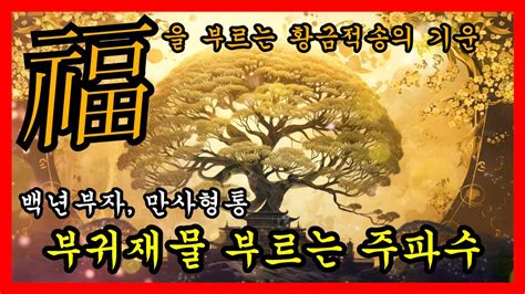 5분만 들어라🌕부귀재물 부르는 주파수🌕 황금적송의 기운 소원성취 로또1등 스피또 2등 부동산 주식 자기긍정 자기암시 명상음악 돈을