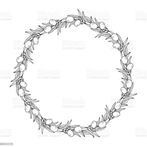 손으로 그린된 빈티지 올리브 월계관입니다 분기 초대 프레임입니다 식물 테두리입니다 벡터는 일러스트 레이 션 고립 벡터에 대한 스톡 벡터 아트 및 기타 이미지 Istock