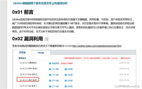 文件上传漏洞 中间件编辑器编辑器上传漏洞 Csdn博客
