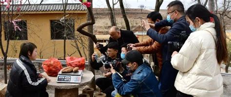 全市“走进乡村看振兴”集中采访团到我县采风工作香菇甜瓜