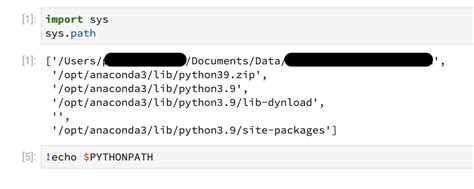 Profile Variables In `~zshrc` Are Not Loaded When Launching Jupyterlab Through Launcher