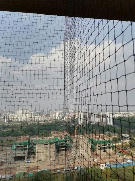 Bird Netting For Buildings At ₹ 15sq Ft Bird Net In Ahmedabad Id 2855834008355